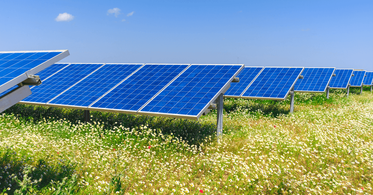 Quintas Cleantech puts solar energy at the heart of Britain’s clean ...