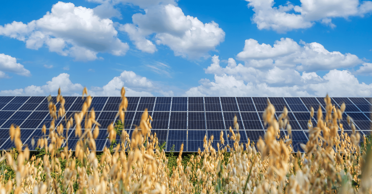 Why should you digitise your solar PV assets and processes?