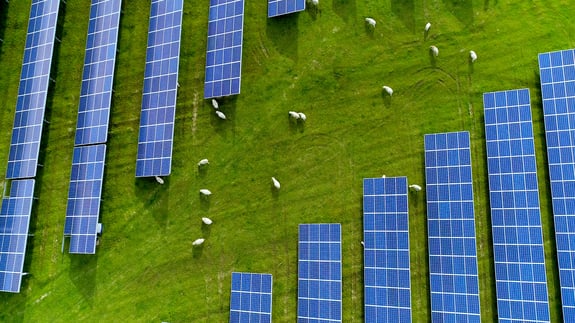 Quintas Energy retains internationally renowned ISO 55001 certification